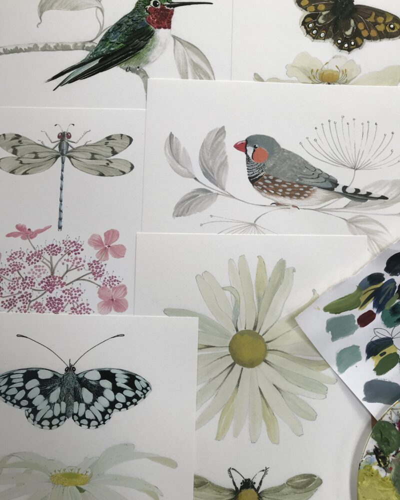 bird and insect art prints